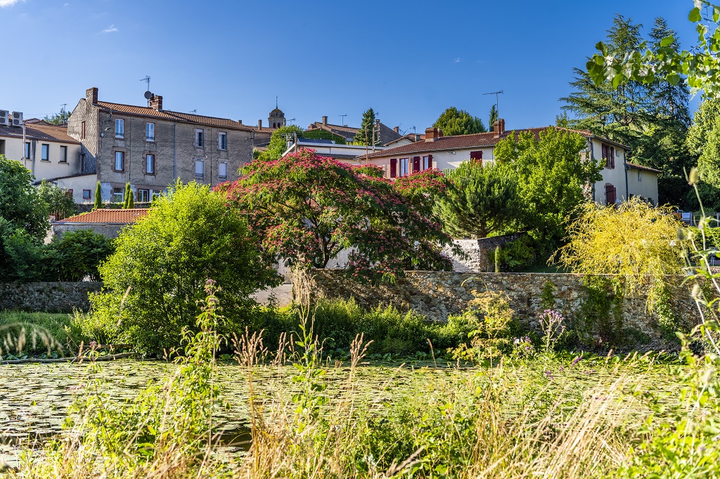 Montfaucon-Montigné : une escapade en Anjou