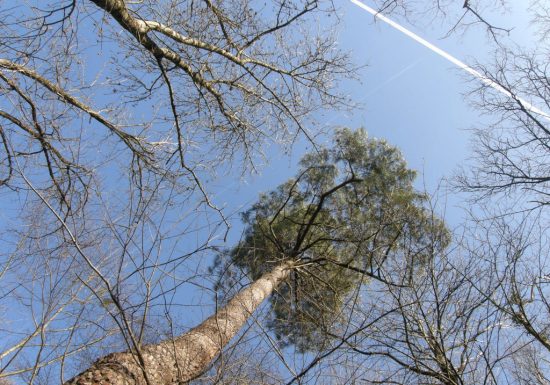 Quartier historique de Beaupréau à BEAUPREAU-EN-MAUGES - Ôsez Mauges ...
